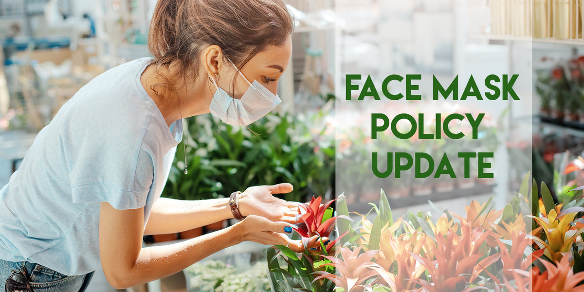 COVID-19 Policy: Masks Strongly Suggested in STL Branch — Baisch & Skinner