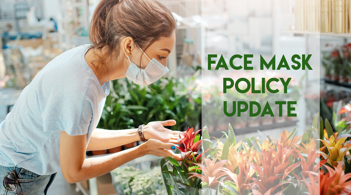 COVID-19 Policy: Masks Strongly Suggested in STL Branch — Baisch & Skinner